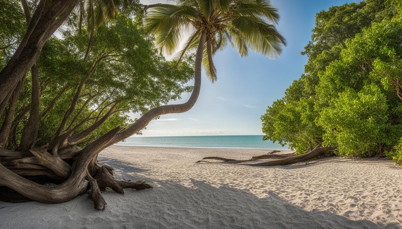 Stump Pass Beach State Park: Explore Florida - Verdant Traveler